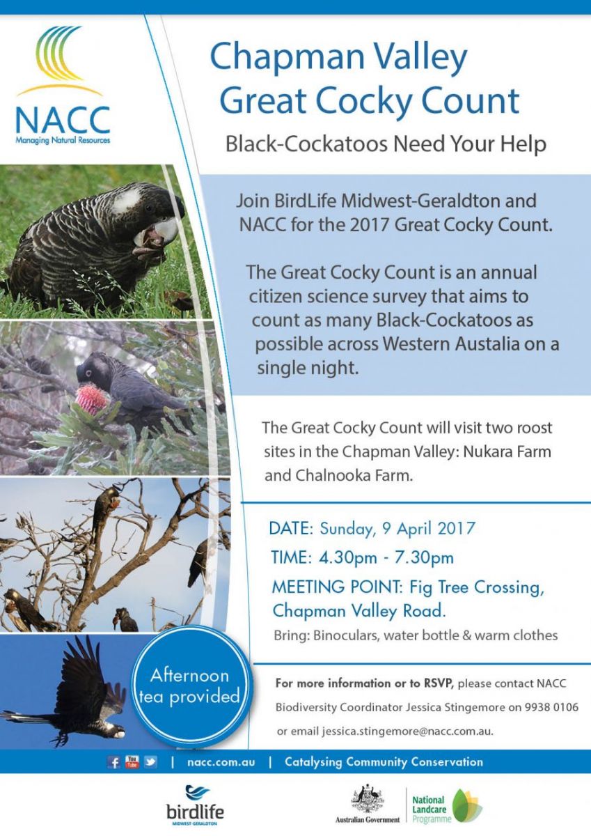 Chapman Valley – Great Cocky Count - NACC - Northern Agricultural ...