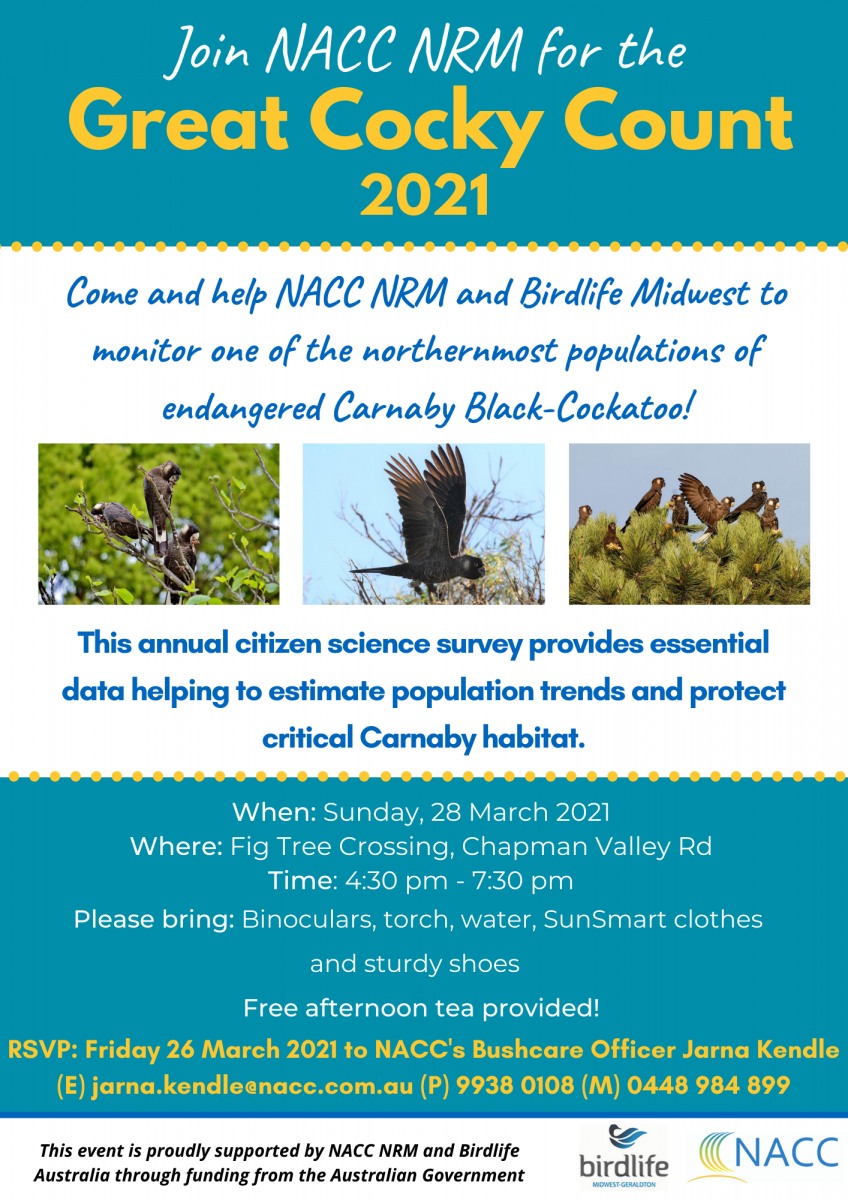 Great Cocky Count - NACC - Northern Agricultural Catchments Council