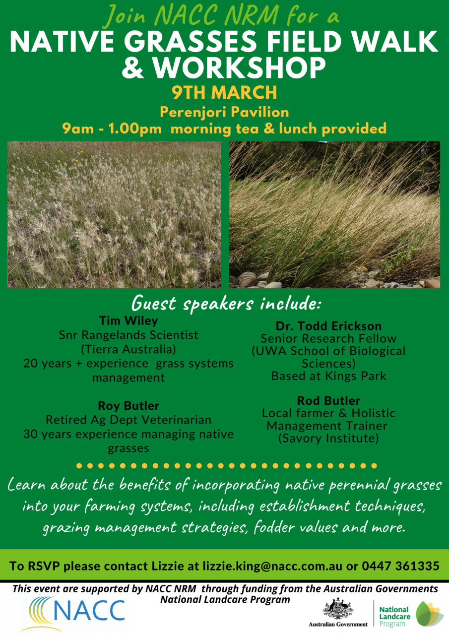 Native Grasses Workshop - NACC - Northern Agricultural Catchments Council