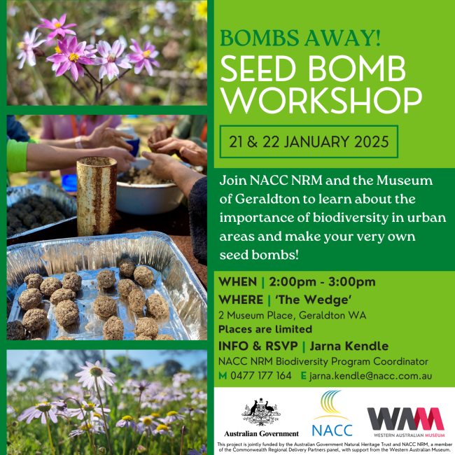 Seed Bomb Workshop - NACC - Northern Agricultural Catchments Council