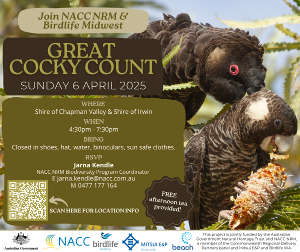 2025 Great Cocky Count - NACC - Northern Agricultural Catchments Council